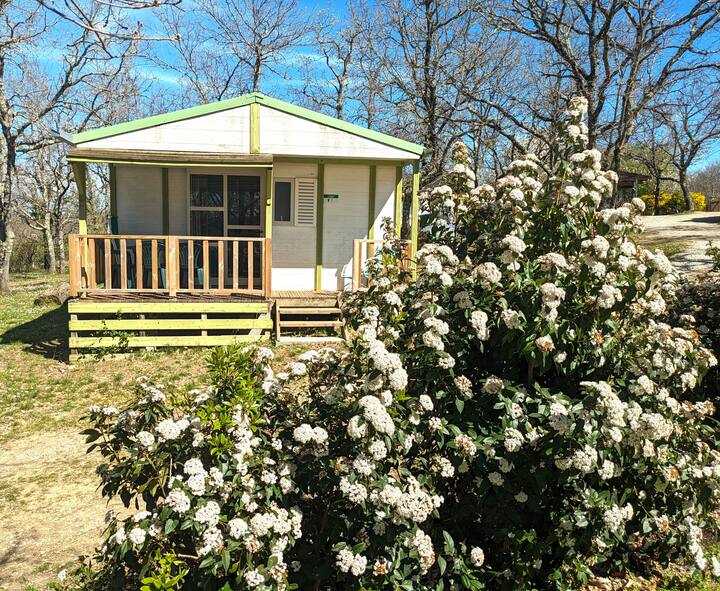 Chalet Pour 5 Personnes - Lavelanet