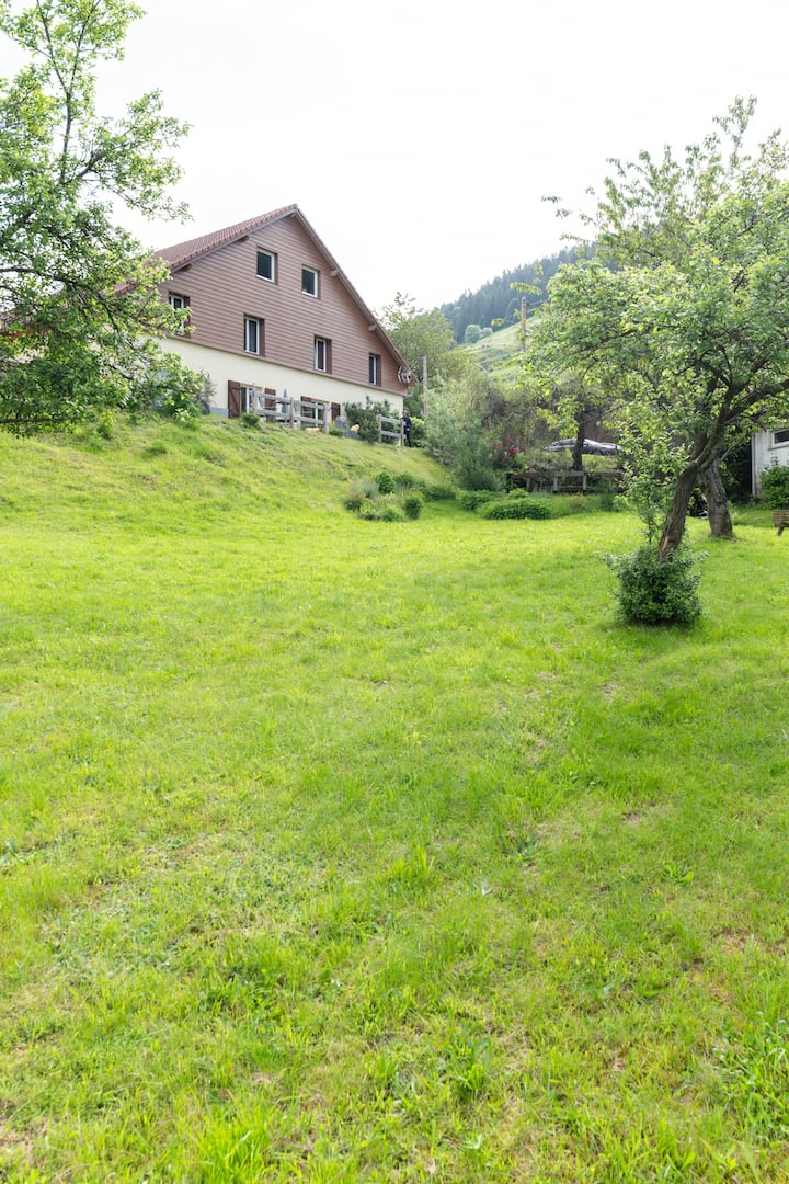 Grand Chalet 4*, Nature, Spa, Emplacement Premium - La Bresse