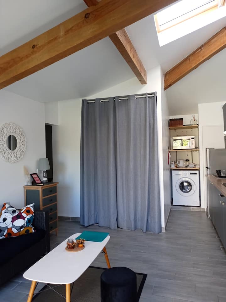 Au Pied Des Dunes Oceanes! Les Sables D'or Pour 2. - Messanges