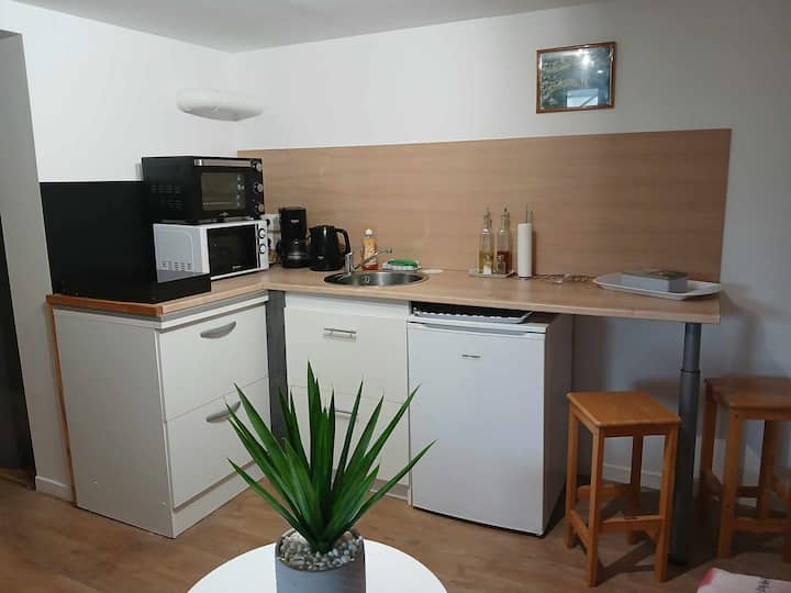 Charmant Petit Studio Avec Jardin - Saint-Malo