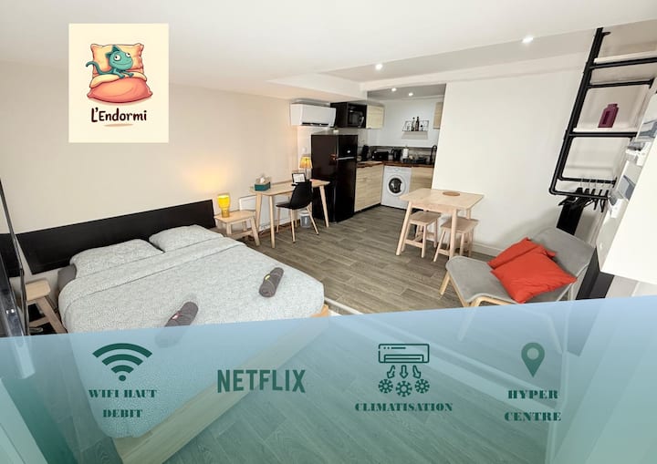 L'endormi 7 - Centre Ville - Climatisé - Clermont-Ferrand