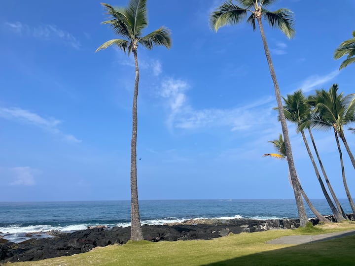 True Ocean Front Unit! - Kailua-Kona, HI
