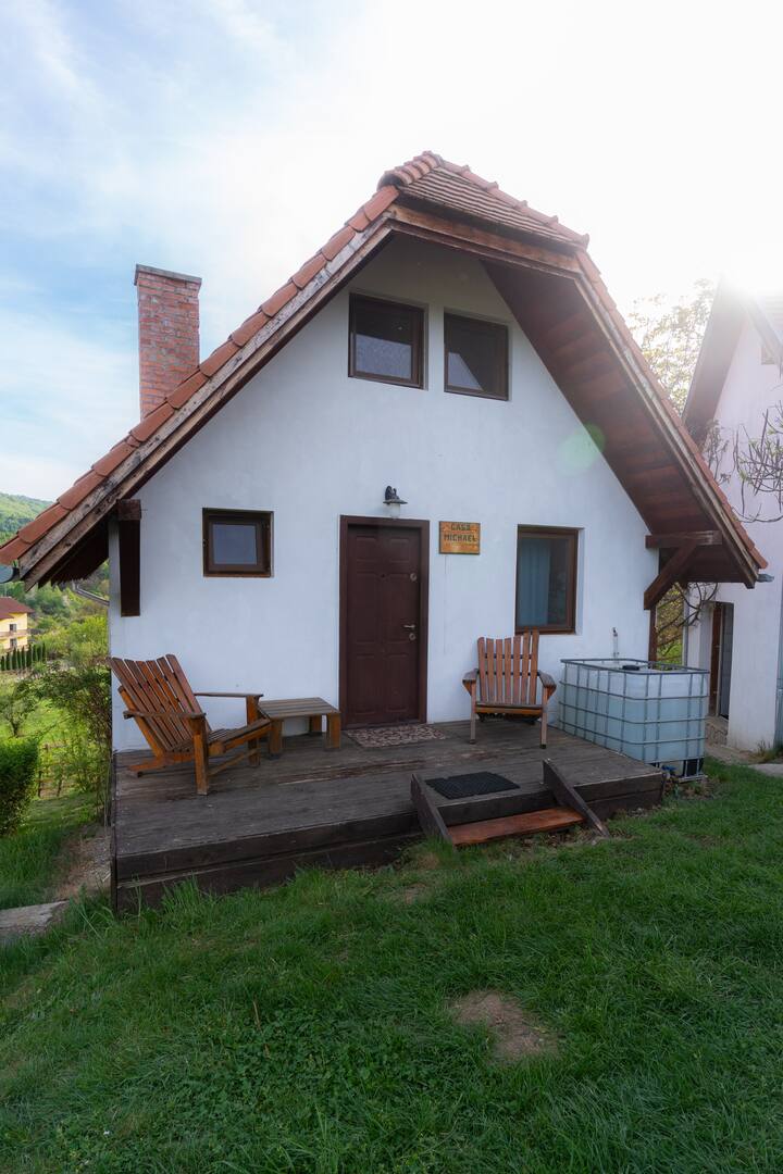 House Michael Cisnadioara - Cristian