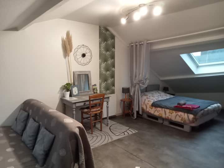 Grand Studio Hyper Centre, Wifi, Tv (4 Pers) - Alençon