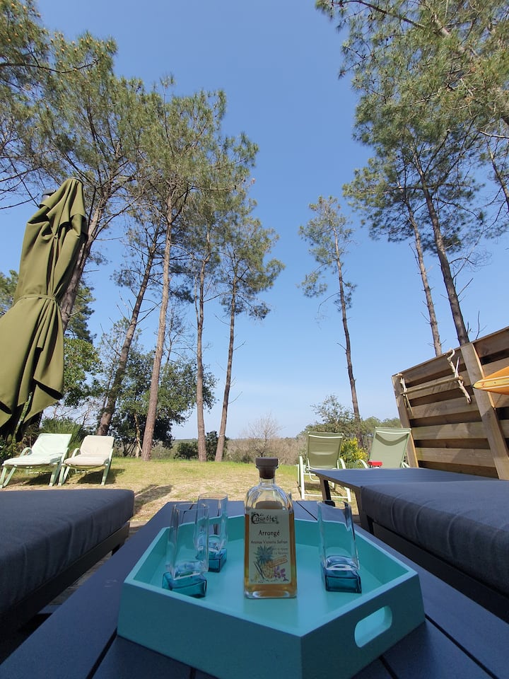 Maison 6p, Vue Sublime Sur La Pinède Landaise - Moliets-et-Maa