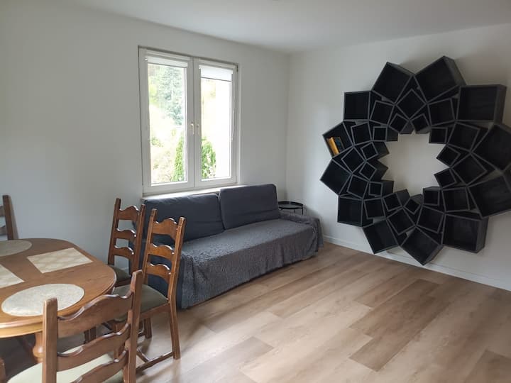 Dwupoziomowe Mieszkanie W Willowej Dzielnicy Sopot - Sopot