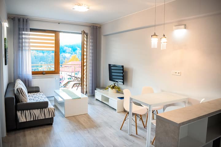 Zielony Zdrój Apartament A 317 Sun&snow - Krynica-Zdrój
