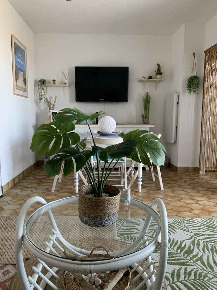 Le Cosy-green-beach - Saint-Cyprien