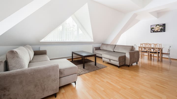 Centrum, Apartament Wanta 3 Sun&snow - Zakopane