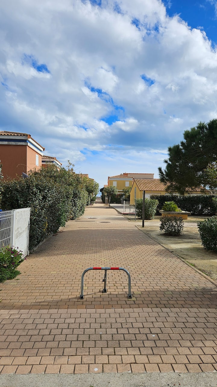 Le Flamant Rose Et La Mer - Frontignan