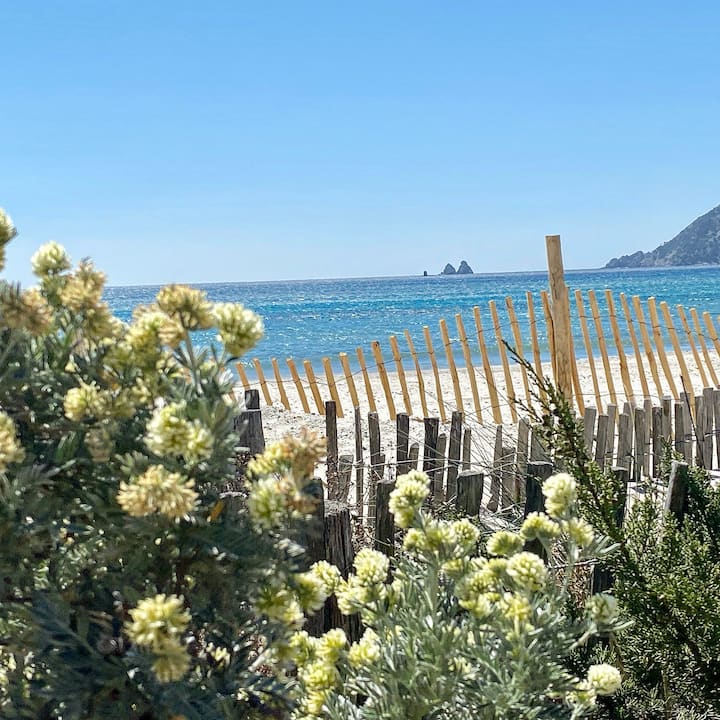 Profitez De L'arrière Saison à La Mer - La Seyne-sur-Mer