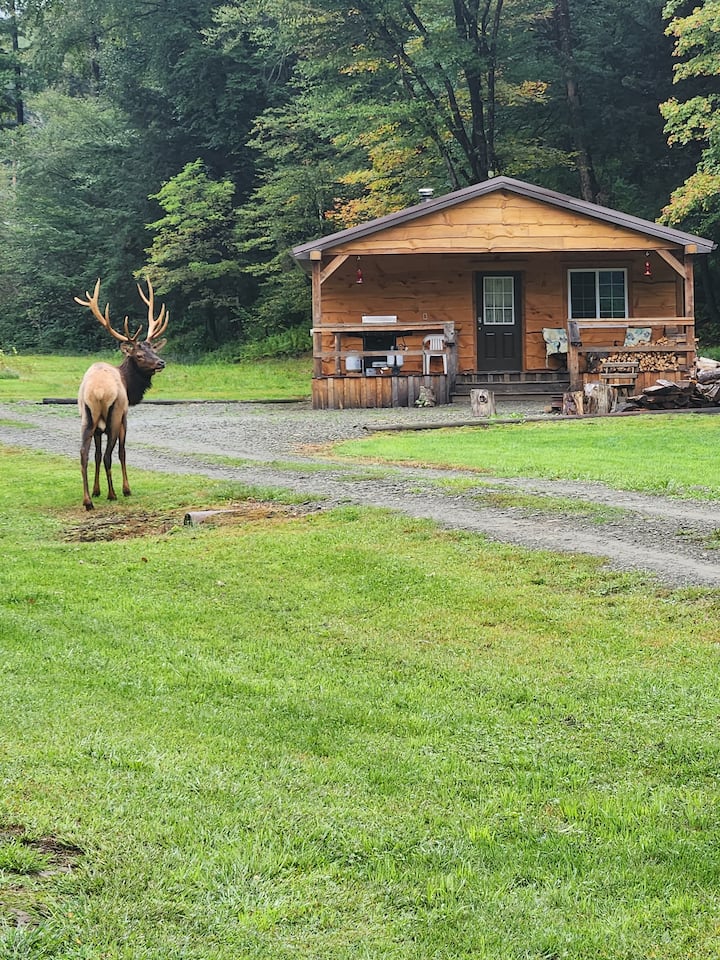 Custom Made Cabin
Lilmunhall - Sinnemahoning State Park, Austin