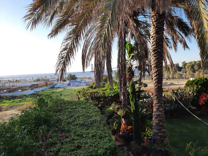 A Window To The Mediterranean - Israel