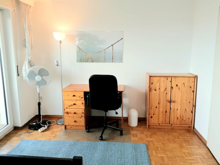 Ruhiges Zimmer3v4 Berufstätigenwg Mit Balkon(ku56) - Karlsruhe