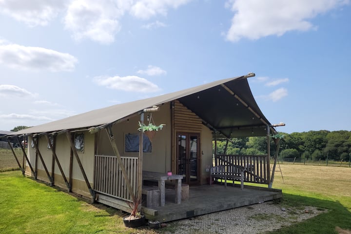 Dollor - Isle of Wight