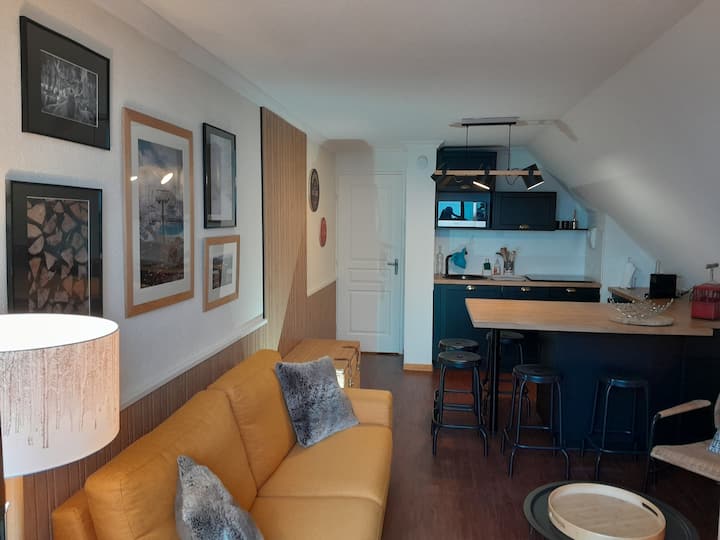 Appartement Mansardé Avec Balcons Super-besse - 