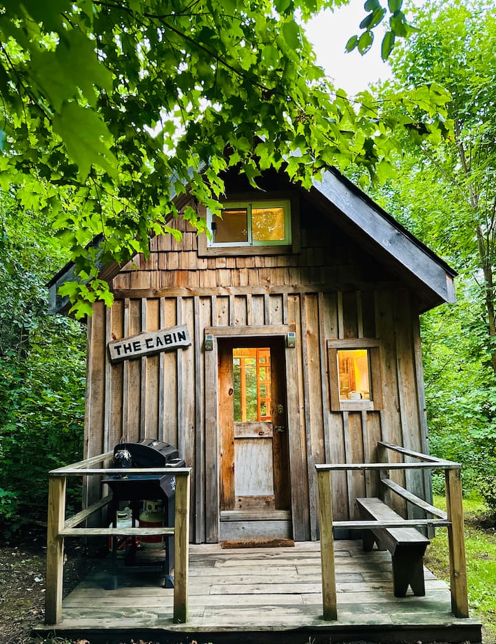 The Cozy Cabin: Shabby Chic & Totally Tranquil - Ontario 60