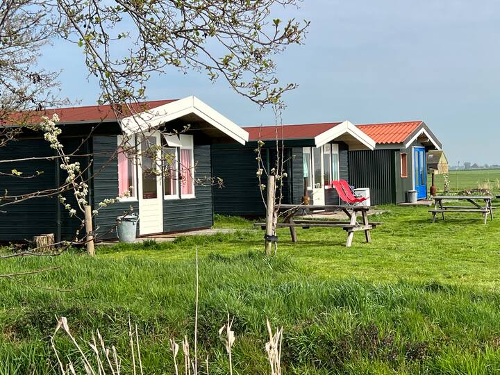 Blokhut Blauwhûs, De Eerste, Op Camping Flapper - Workum
