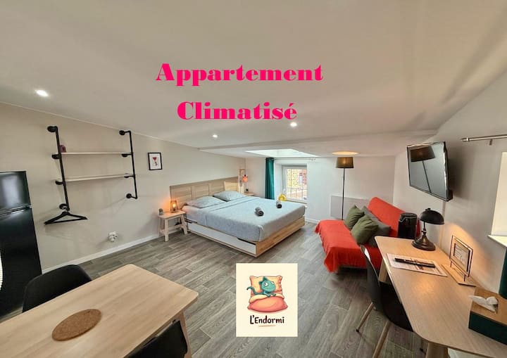 Jolis Appartements Au Coeur De Clermont Ferrand - Proche Jaude - Wifi Et Netflix - Puy-de-Dôme