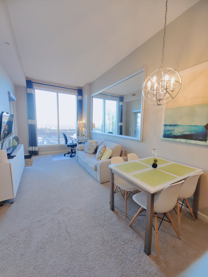 New Downtown Penthouse 1 Bedroom With Unblock View -