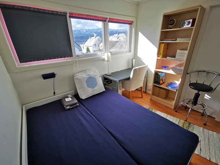 Sentrumsnær Leilighet Med Havutsikt - Ålesund