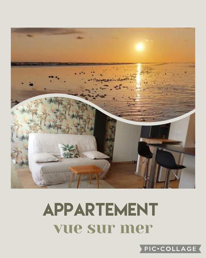 Appartement Vue Sur Mer Plage Des Demoiselles - Saint-Hilaire-de-Riez