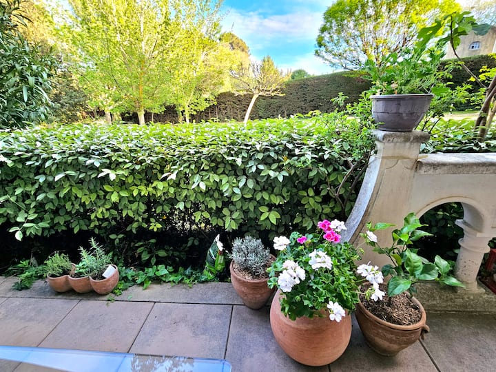 Aix Center, Nice Apartmentt2 1 Bedroom, Terrace Overlooking Garden Air Conditioned Parking - Aix-en-Provence