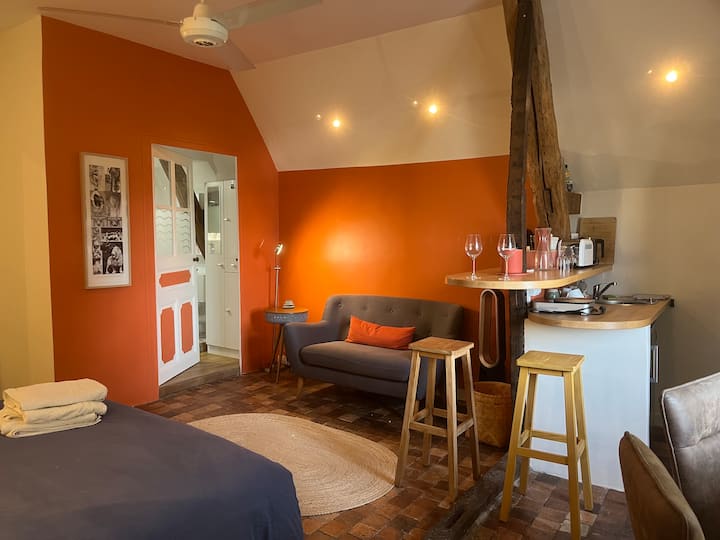 Studio Dans Manoir Avec Piscine - Proche Angers - Bauné