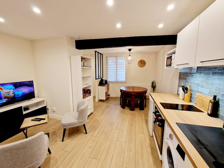 Studio Tout Confort, Près De Lyon - Neuville-sur-Saône
