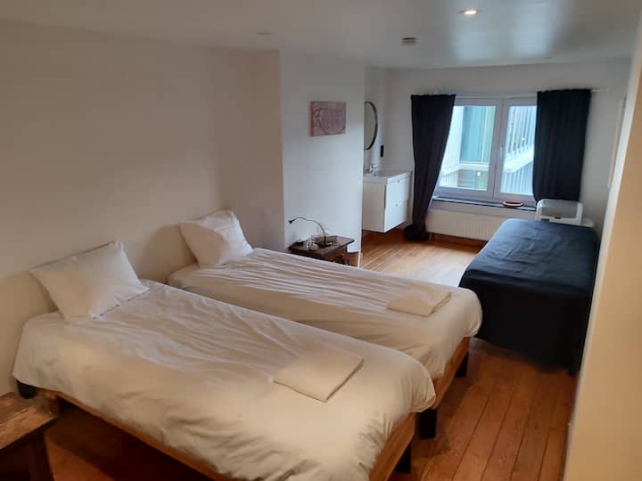 Ruime Kamer Voor 3 Met Dakterras - Antwerpen