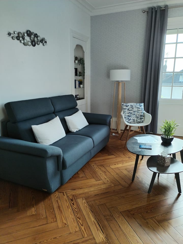Appartement De Charme, Beau Volume, Parquet - Rouen