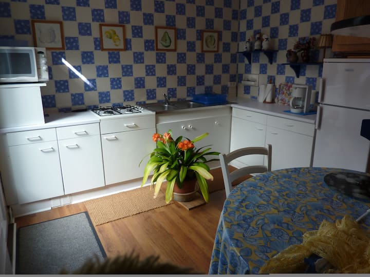 Hyper Centre Douarnenez, Port, Plages, Marché - Douarnenez
