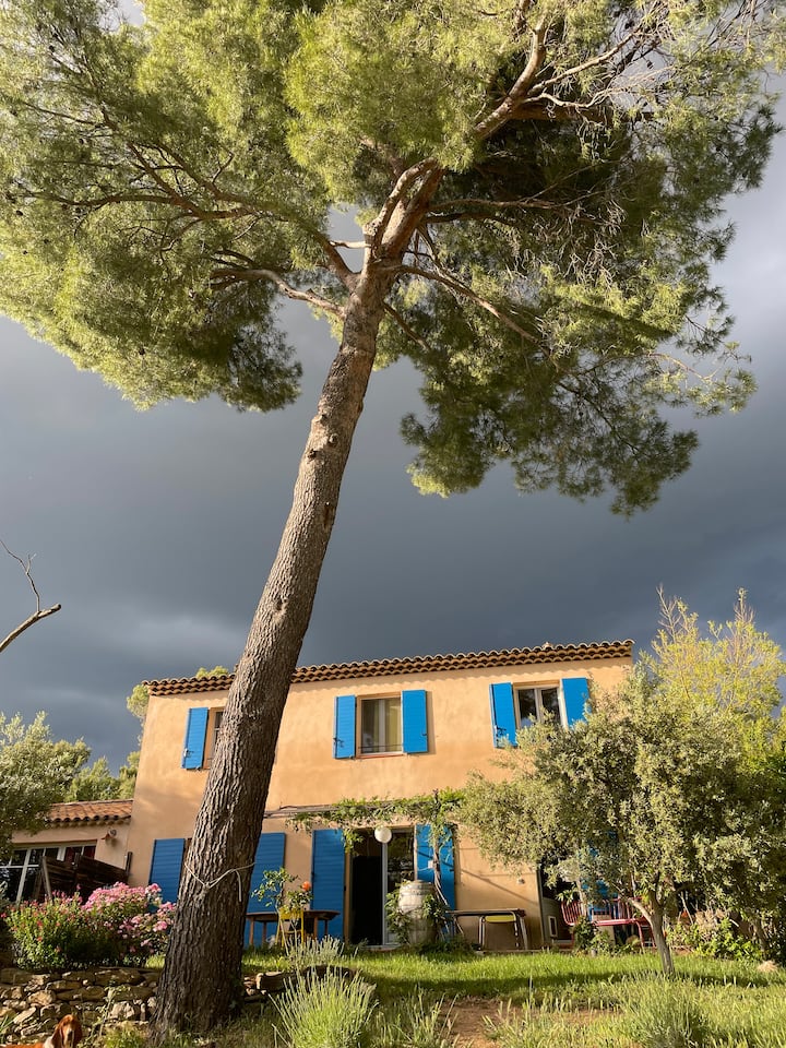 Très Belle Bastide  Avec Grande Piscine - Pourrières