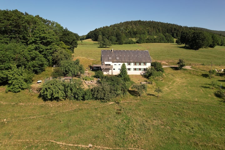 Gîte "Chataîgne" Appartement Tout Confort, Nature - Lac Noir