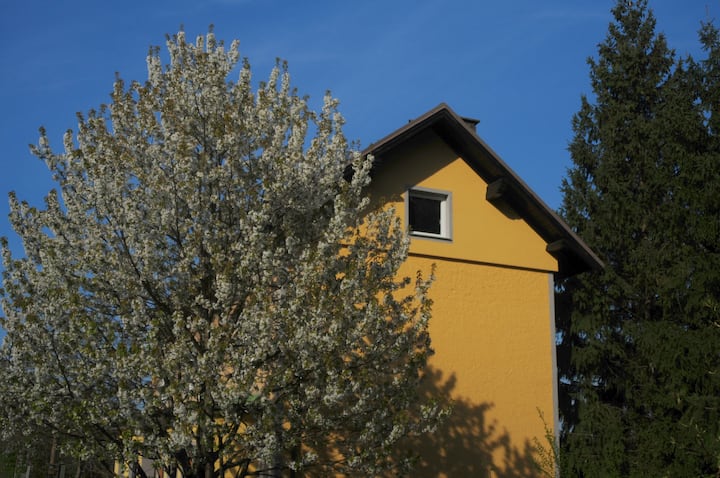 Ferienwohnung Rosenbach Am Fuße Der Karawanken. - Wörthersee