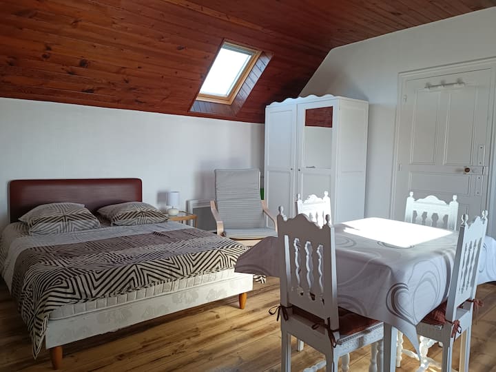 Charmant Studio Près Du Port à Bénodet , Wifi - Sainte-Marine