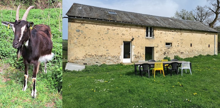 Grande Maison à La Ferme Dans Le Morvan - Morvan