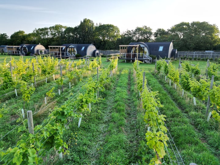 Chardonnay: Peaceful Vineyard Retreat - Nottinghamshire
