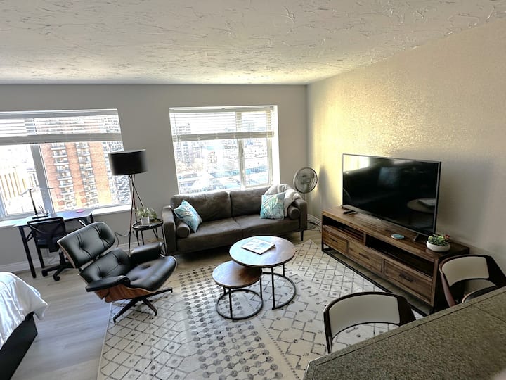 Downtown Condo W/full Kitchen (1208) - Minneapolis, MN