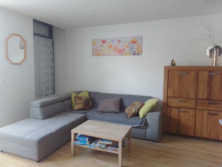 Appart 73m² Normes Pmr 3etoiles - Puy de Sancy