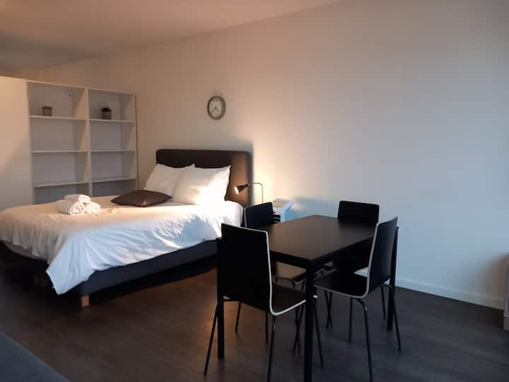 Cozy Cool Apartment - Delft