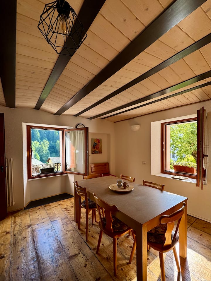 Appartamento Moizi - Chiesa in Valmalenco