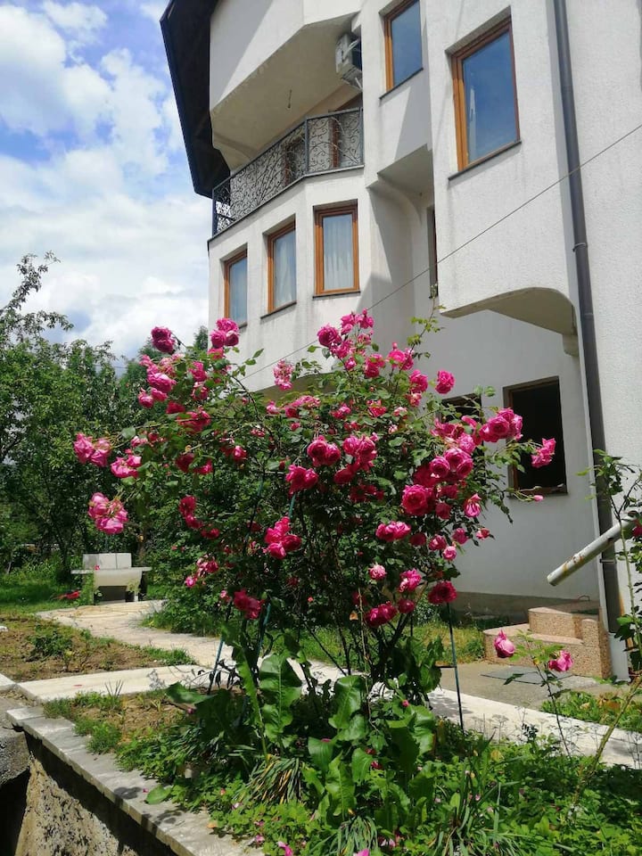 Free Parking Spacious Big Apartment In Center! - Sarajevo