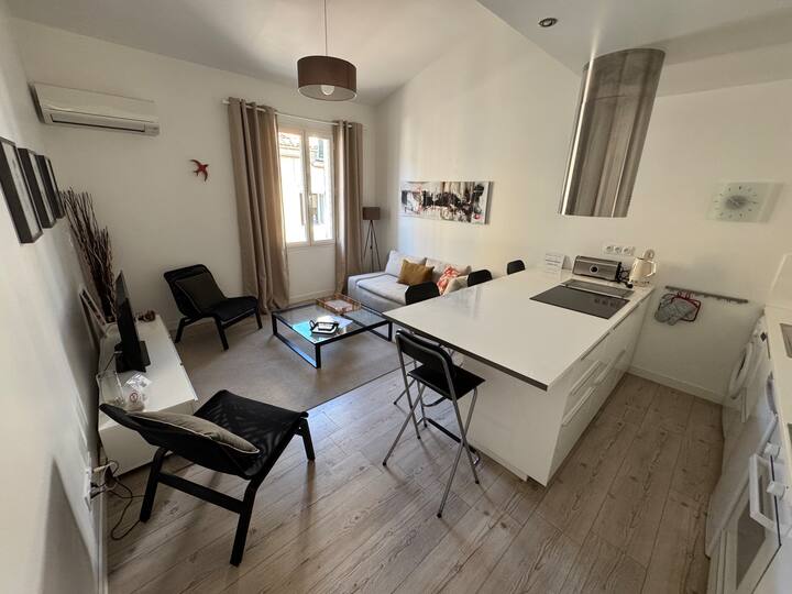 Bel Appartement Terrasse Intra-muros 3* - Saint-Laurent-d'Aigouze