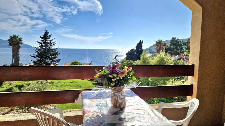 Bel Appartement 5-6 Personnes Vue Mer (7) - Tiuccia