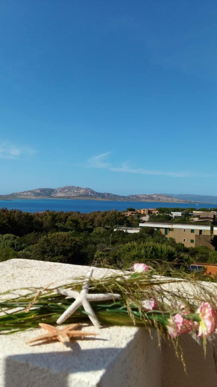 Stintino Sardegna Delizioso Bilocale Vista Mare - Stintino