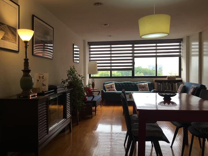 The Best Cheap Flat In La Condesa!! - Mexico City