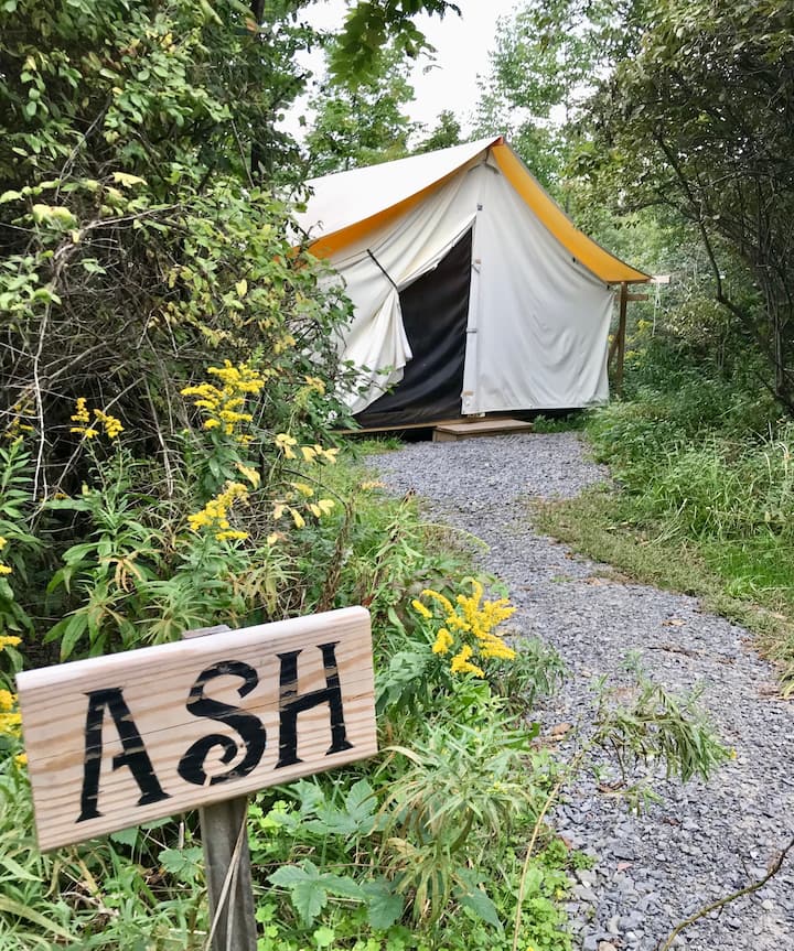 Ash - Safari Tent With Two Queen Beds - Seneca Lake, NY