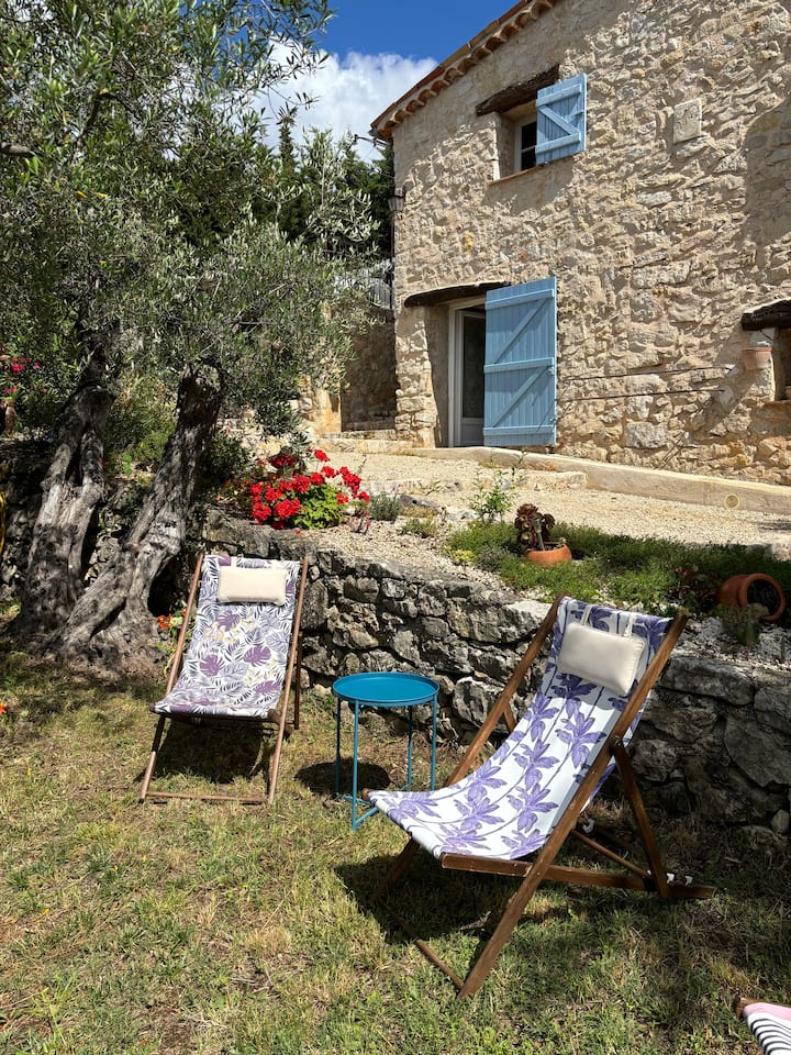 Authentique Mas Provençal - Montauroux