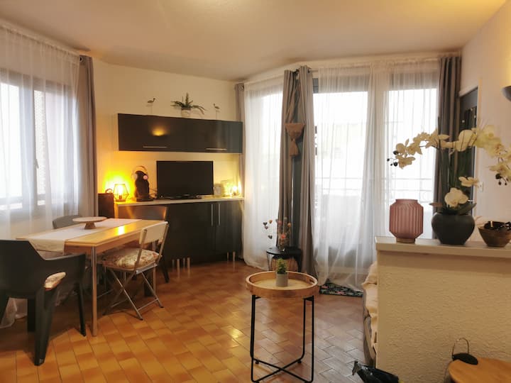 T2 Joli Et Confortable  , 33m2, Piscine Et Parking - Le Barcarès